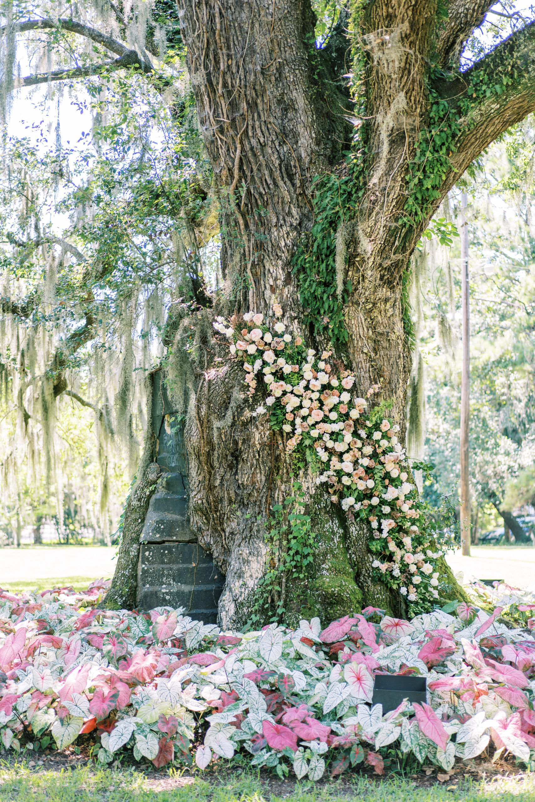 KAITLYN + WILL - Pure Luxe Bride