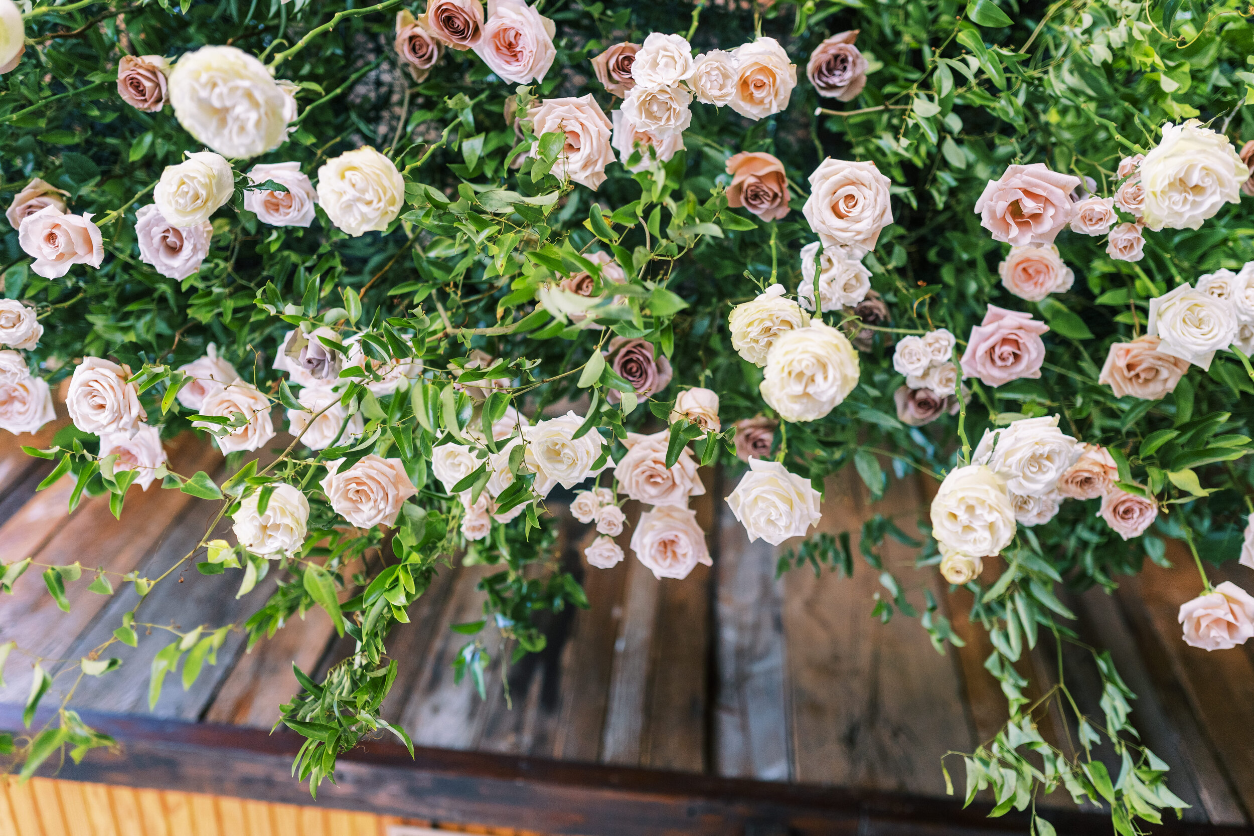 KAITLYN + WILL - Pure Luxe Bride