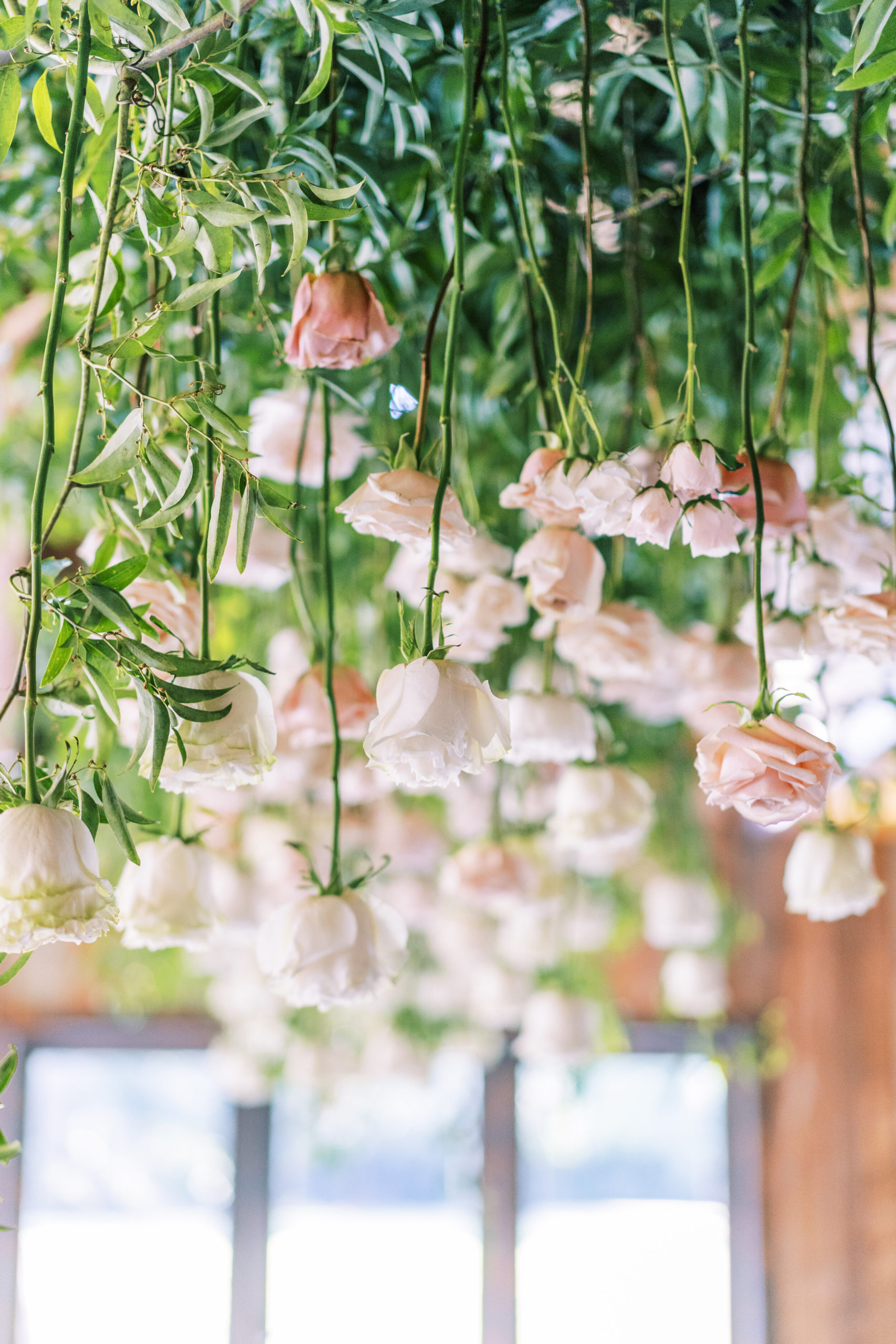 KAITLYN + WILL - Pure Luxe Bride